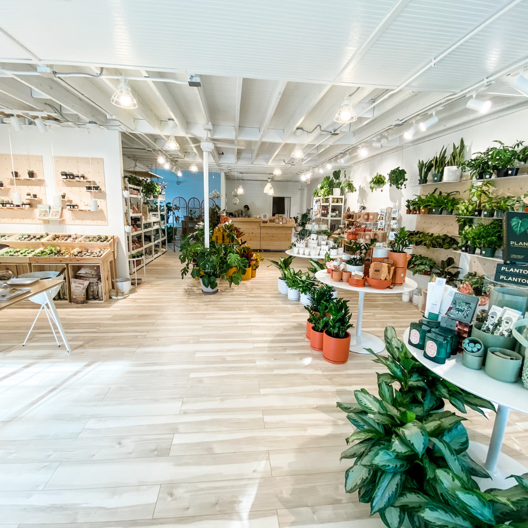 Plant Gift Shop in DeWitt Michigan - Lansing Area – The Plant Studio at ...