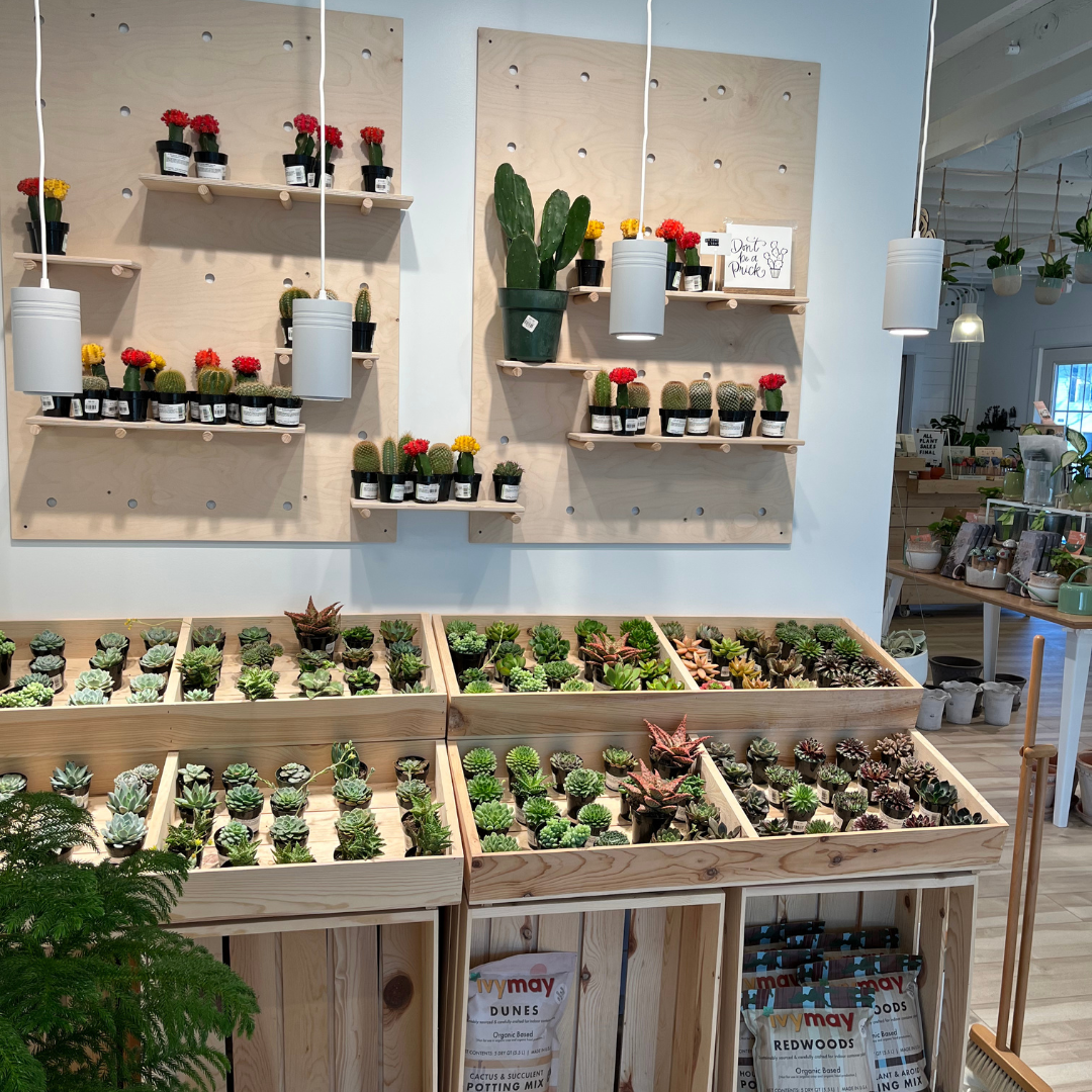 Plant Gift Shop in DeWitt Michigan - Lansing Area – The Plant Studio at ...